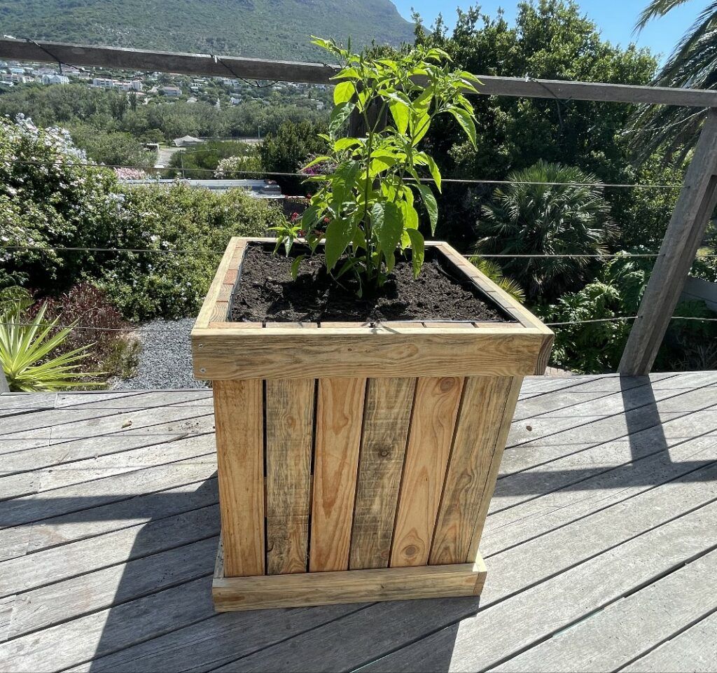 Large Square Framed Planter| Beginner Woodworking Plan | The Woodworker ...